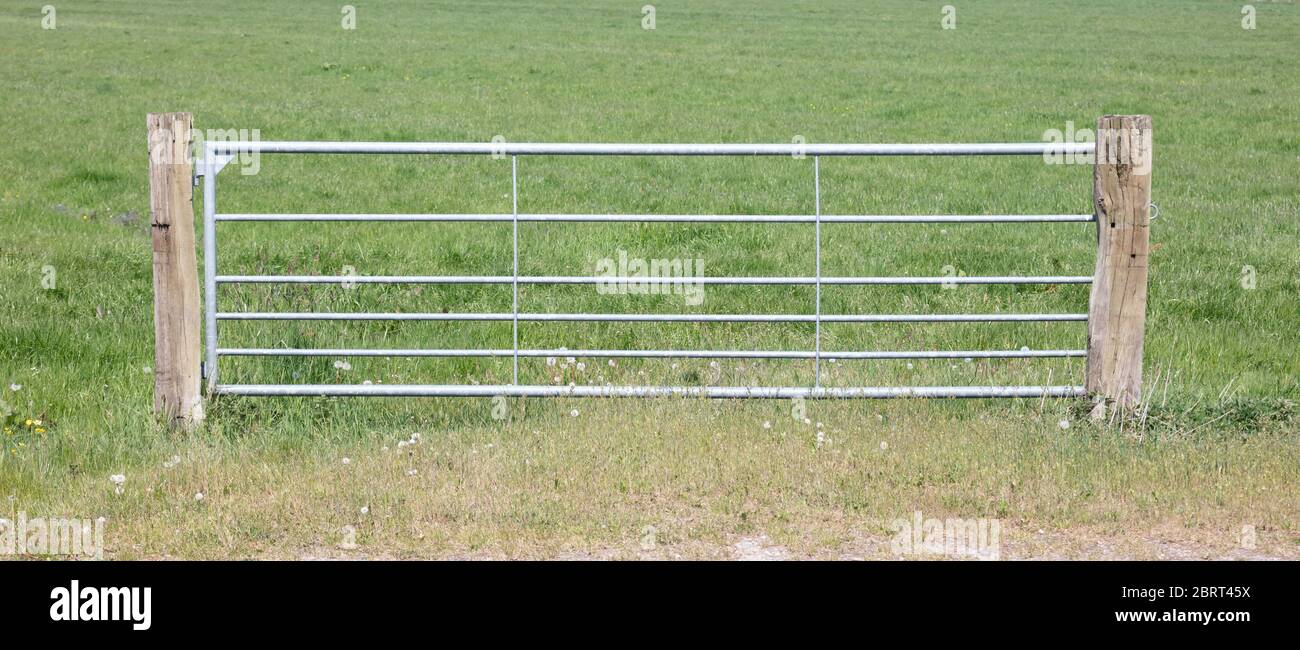 Metal fence and farm gate leading into grassy field, the Netherlands ...