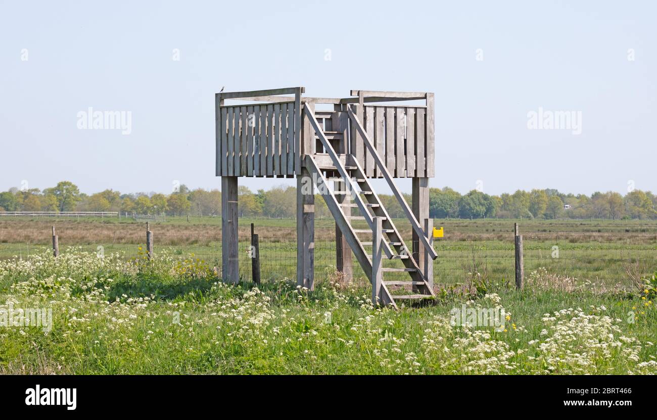 Viewing platform for looking at birds in the Netherlands Stock Photo ...