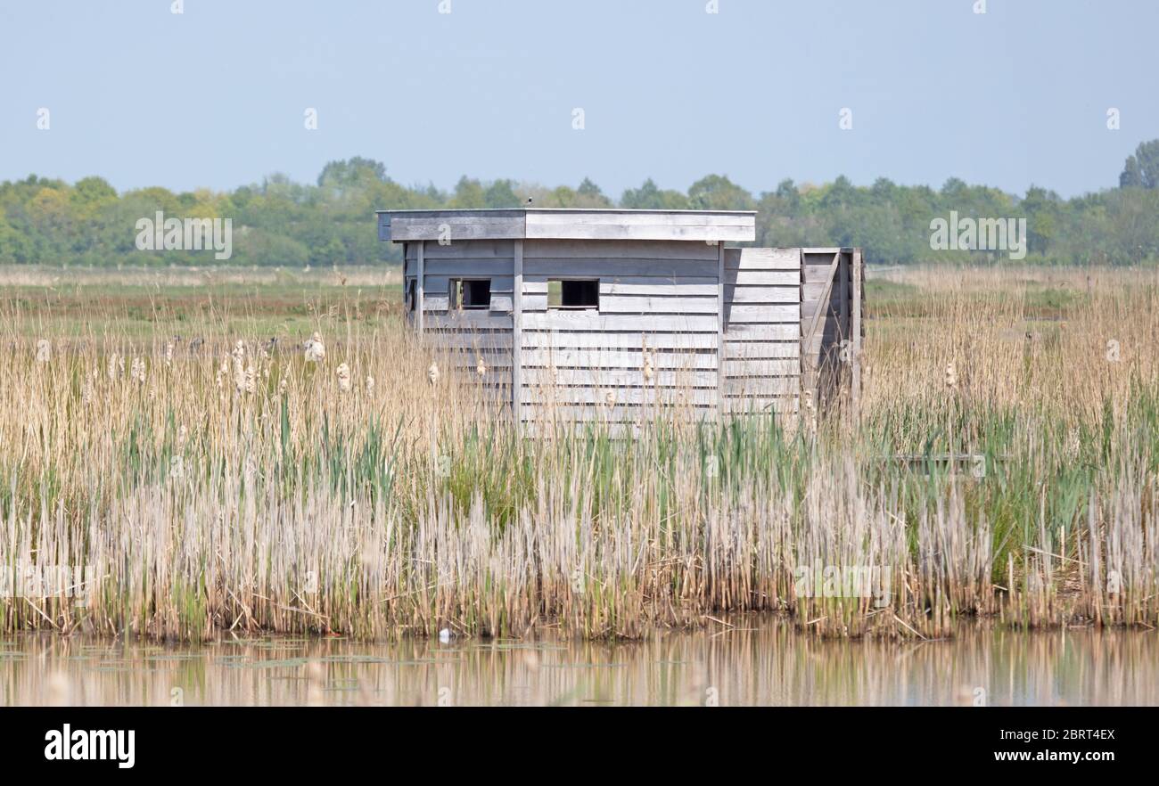 Viewing cabin for looking at birds in the Netherlands Stock Photo - Alamy