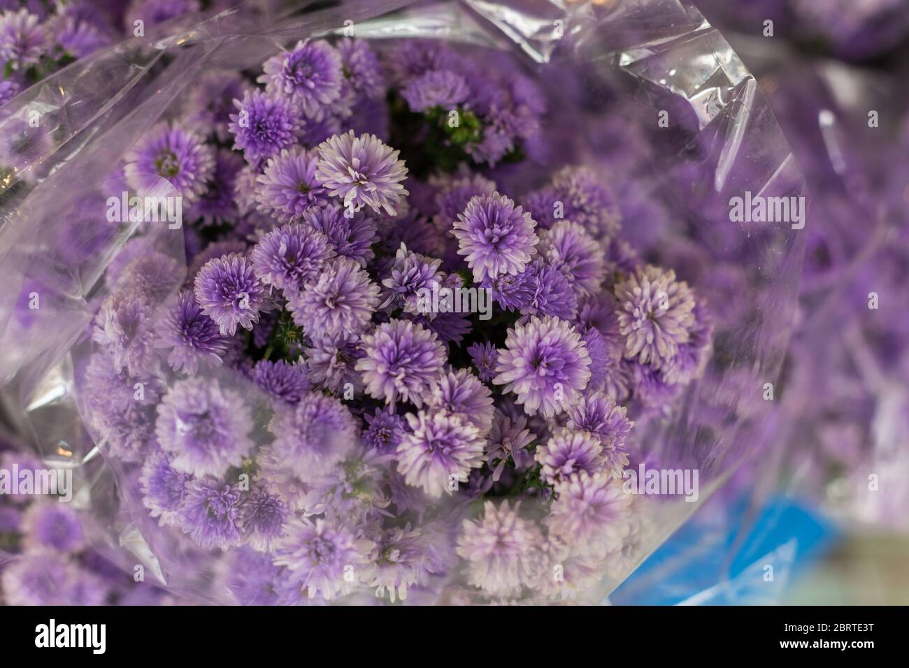purple flowers background Farmer's market close up Stock Photo - Alamy