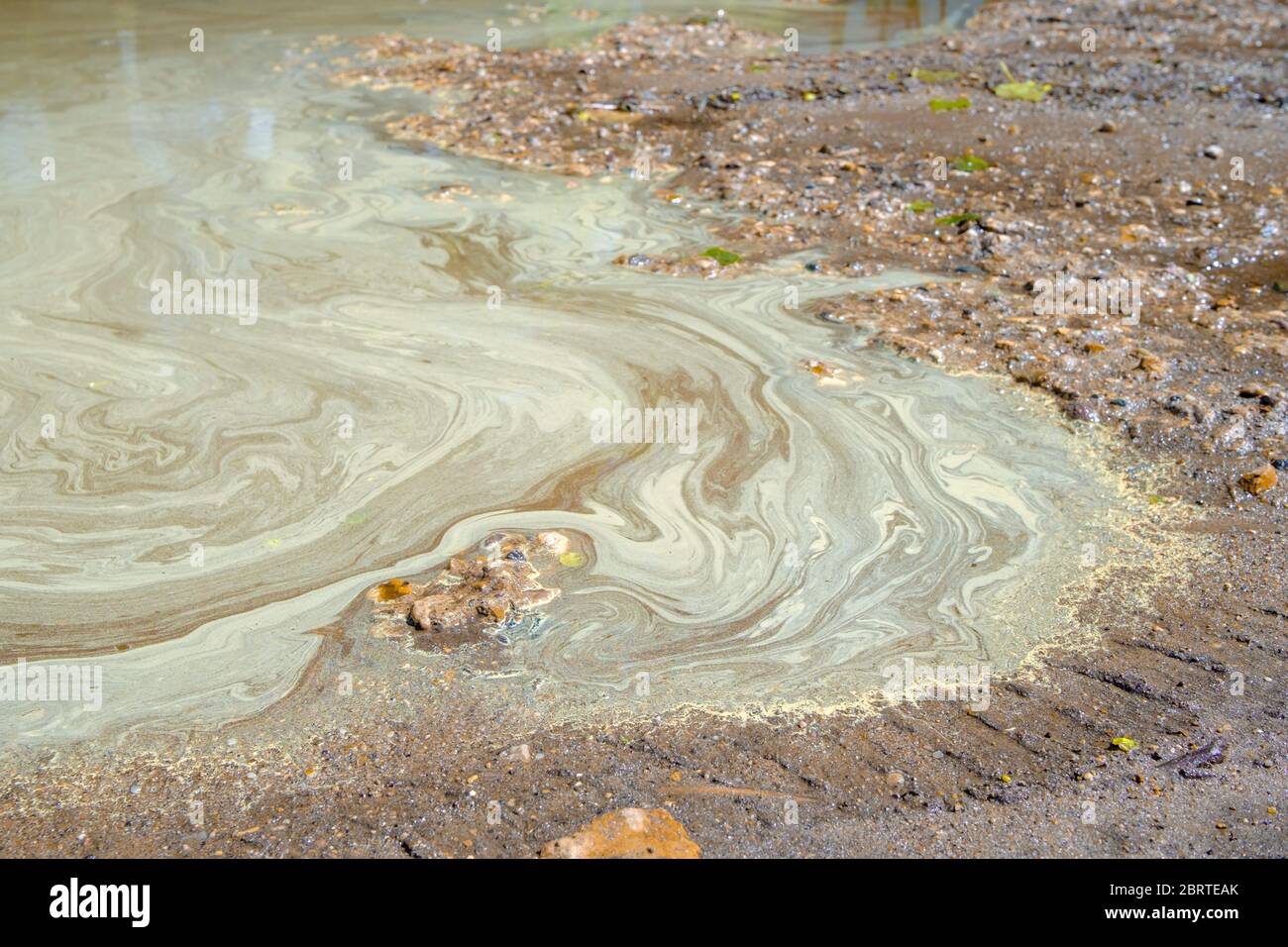 Pollen stains hi-res stock photography and images - Alamy