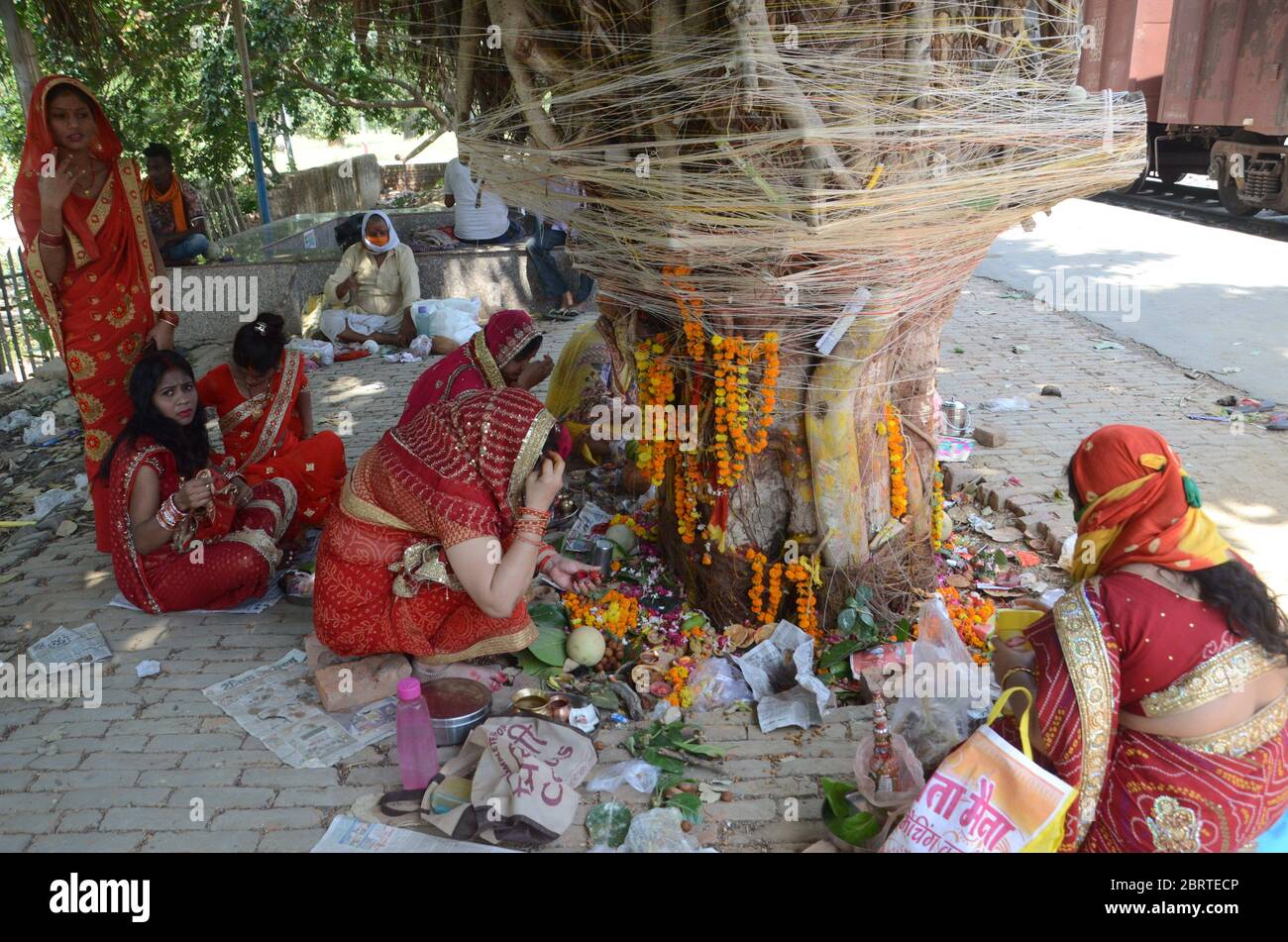 Banyan tree puja hi-res stock photography and images - Alamy