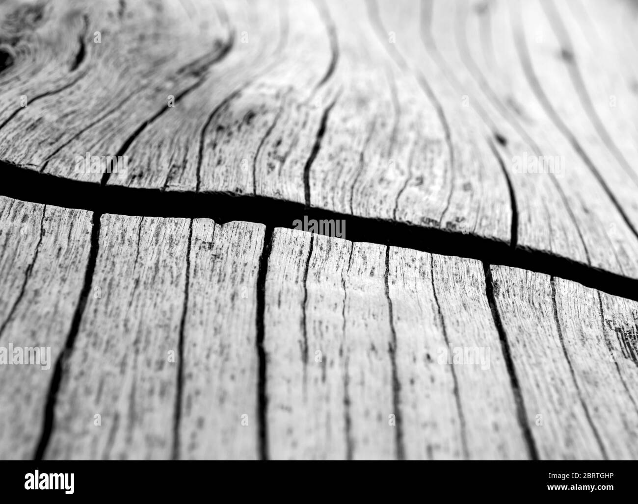 Detail of old stump surface, Texture of old stump wood surface Stock ...