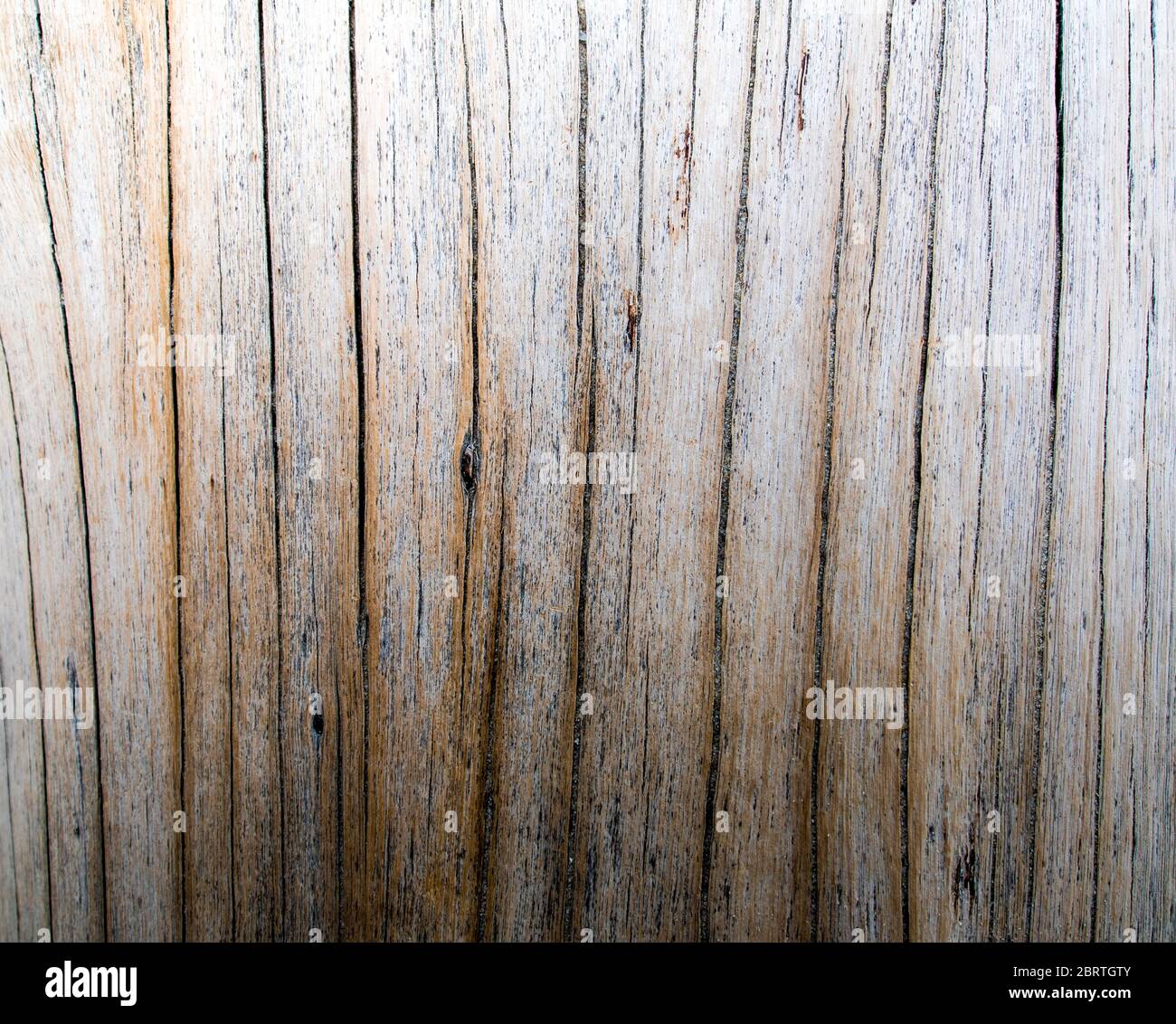 Detail of old stump surface , wood texture Stock Photo - Alamy