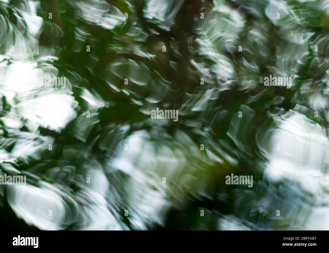 Reflection of sunlight and trees on the moving water surface Stock ...