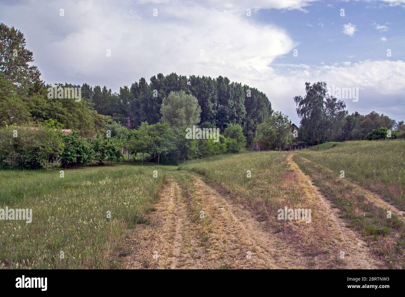 Beautiful houses in nature surrounded by greenery. A separate road ...