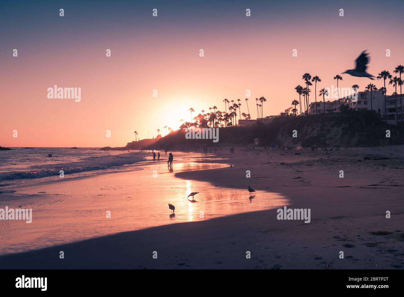 Beautiful california sunset hi-res stock photography and images - Alamy