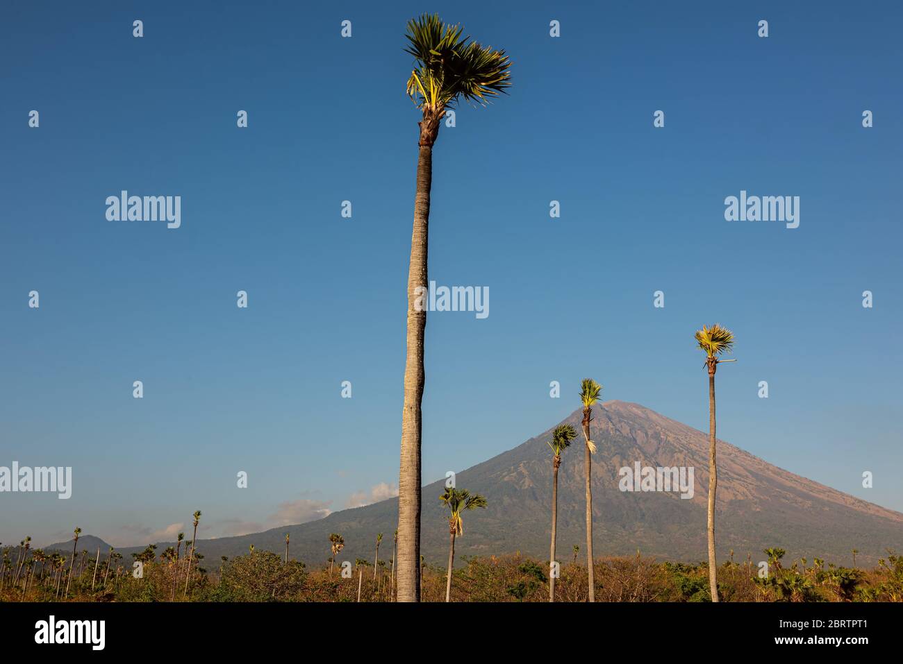 View on Agung vulcano, Bali, Indonesia Stock Photo - Alamy
