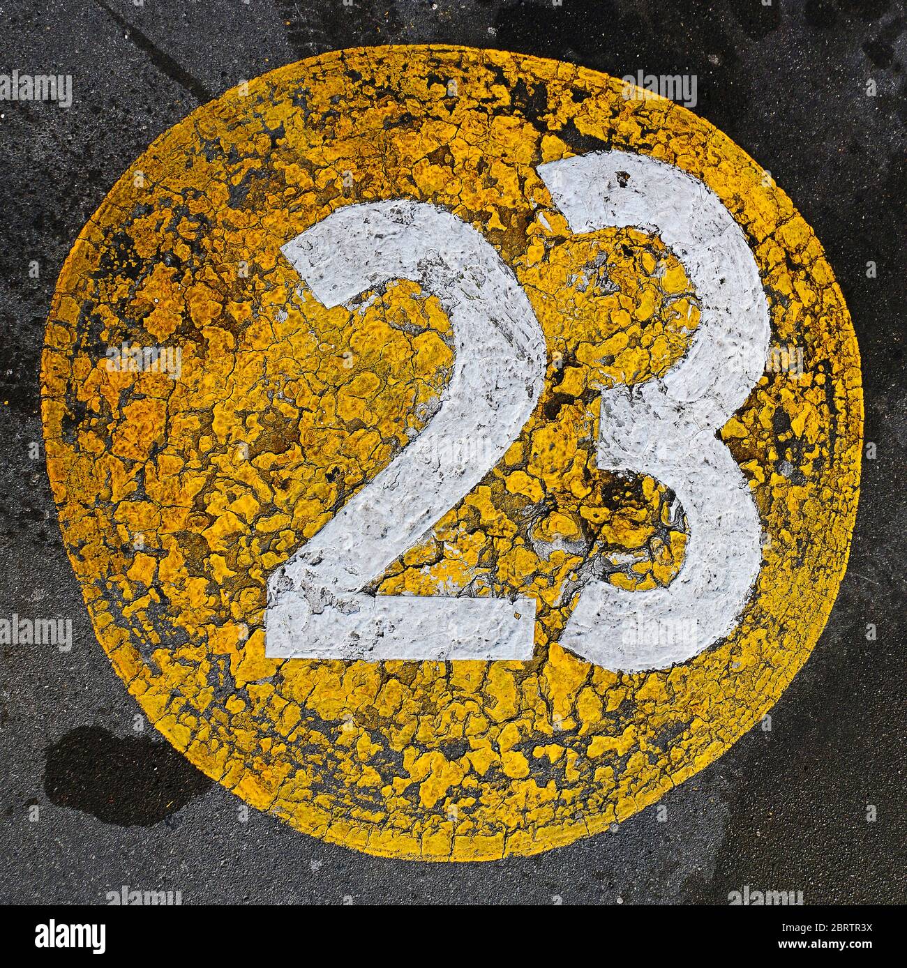 Number bus hi-res stock photography and images - Alamy