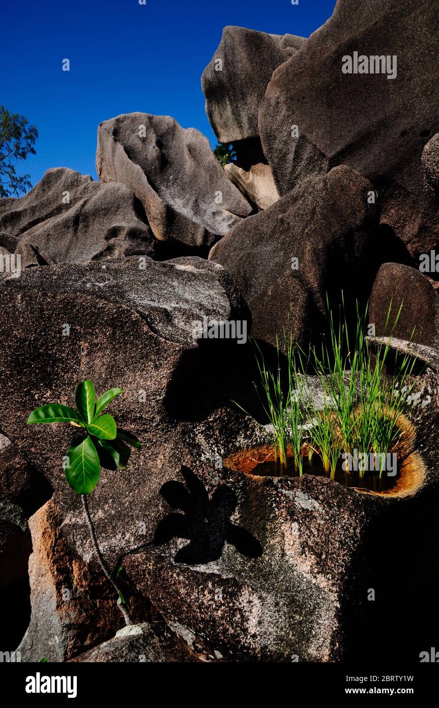 Granitic soil hi-res stock photography and images - Alamy