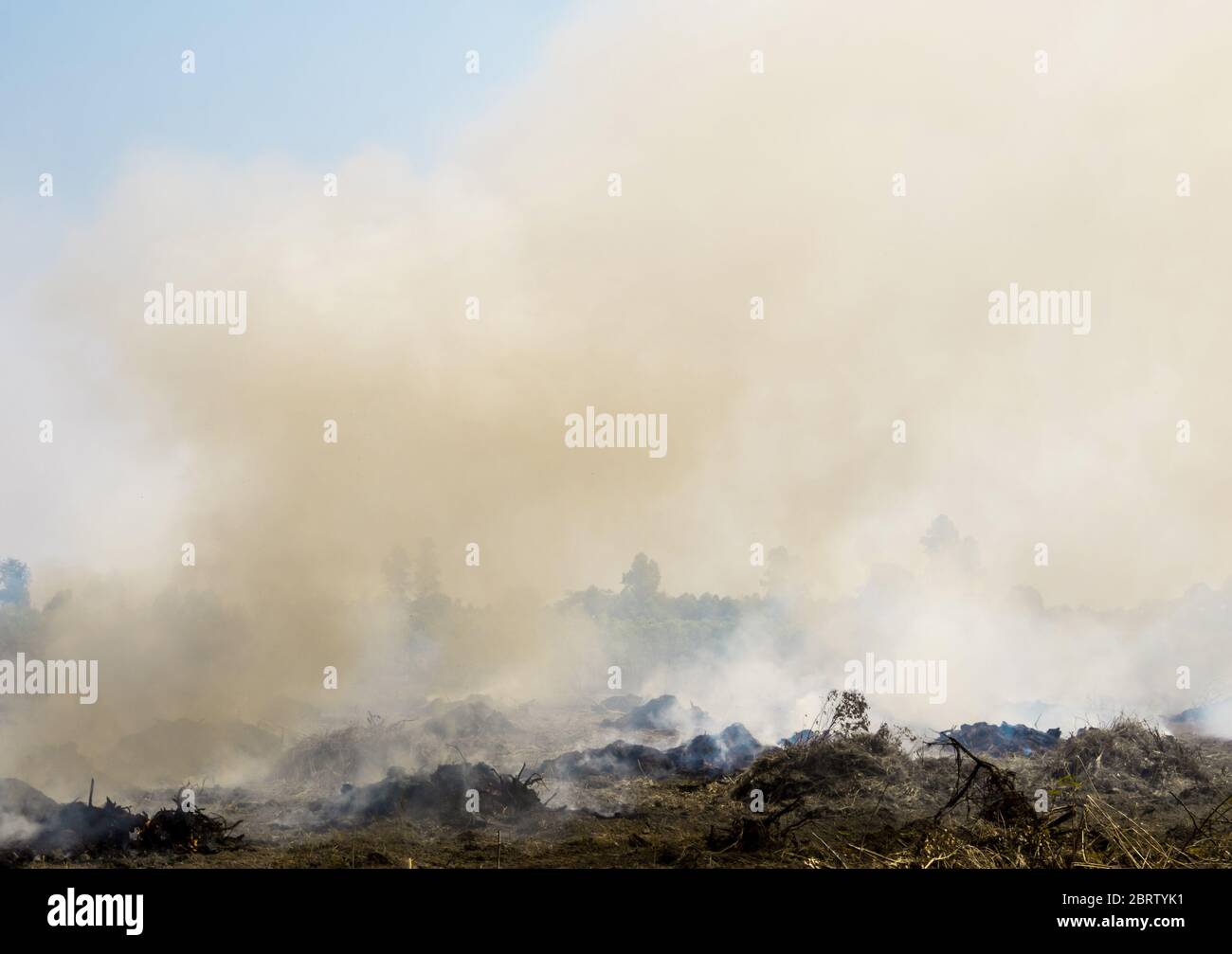 Dense dust and smoke from burning stubble in agricultural areas along ...