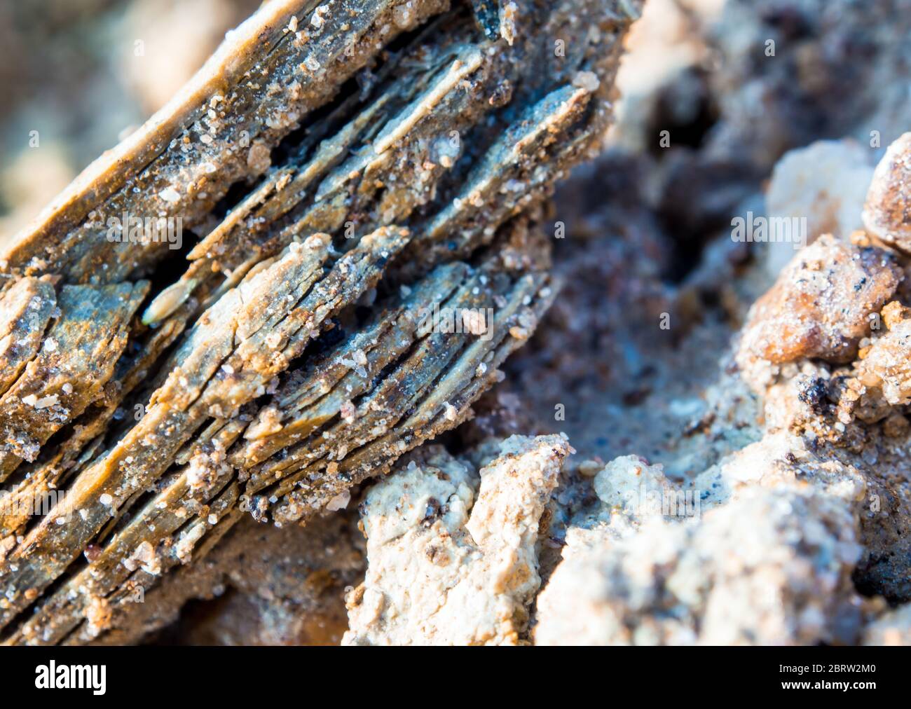 Texture of stone and soil on rocky mountain soil Stock Photo - Alamy