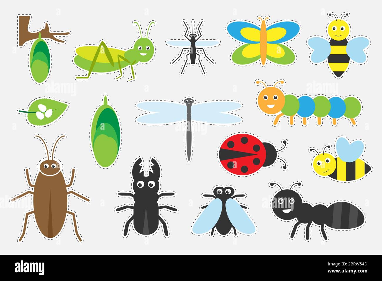 Insects Pictures For Kids