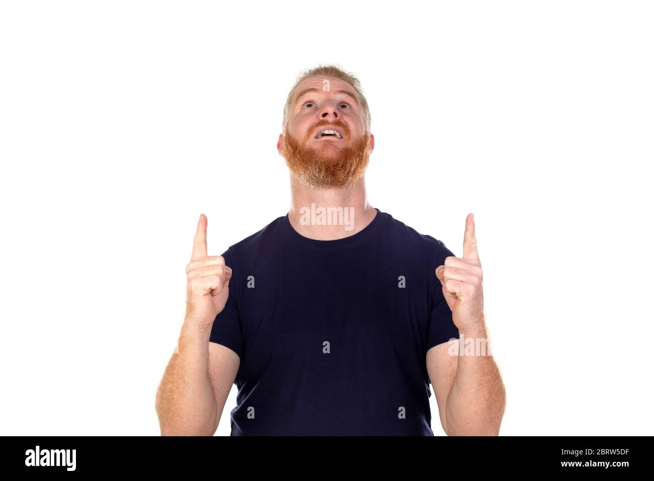 Red haired man with long beard looking up isolated on a white ...