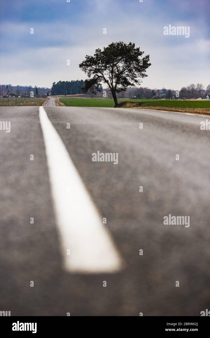 highway landscape with tree and road Stock Photo - Alamy
