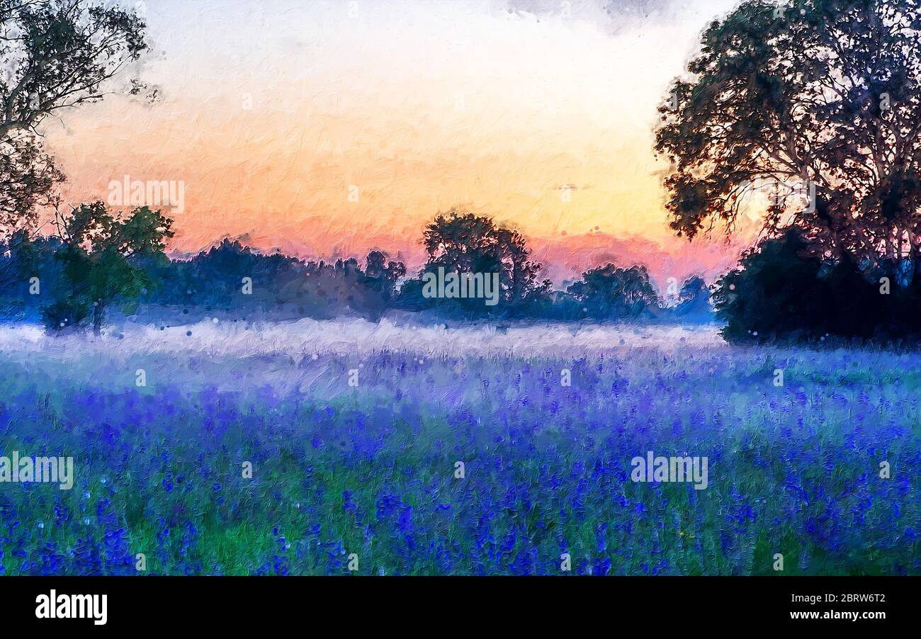 Bluebonnet scene hi-res stock photography and images - Alamy