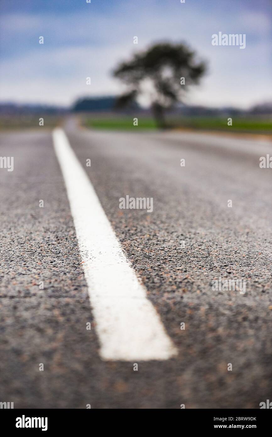 highway landscape with tree and road Stock Photo - Alamy