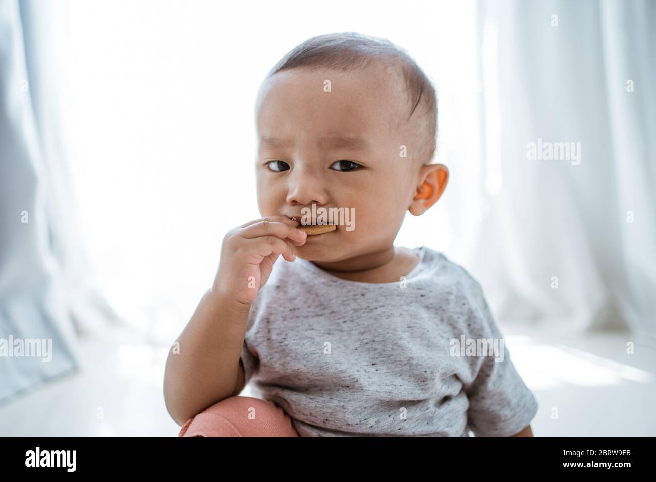 asian little boy eating cookies biscuit Stock Photo - Alamy