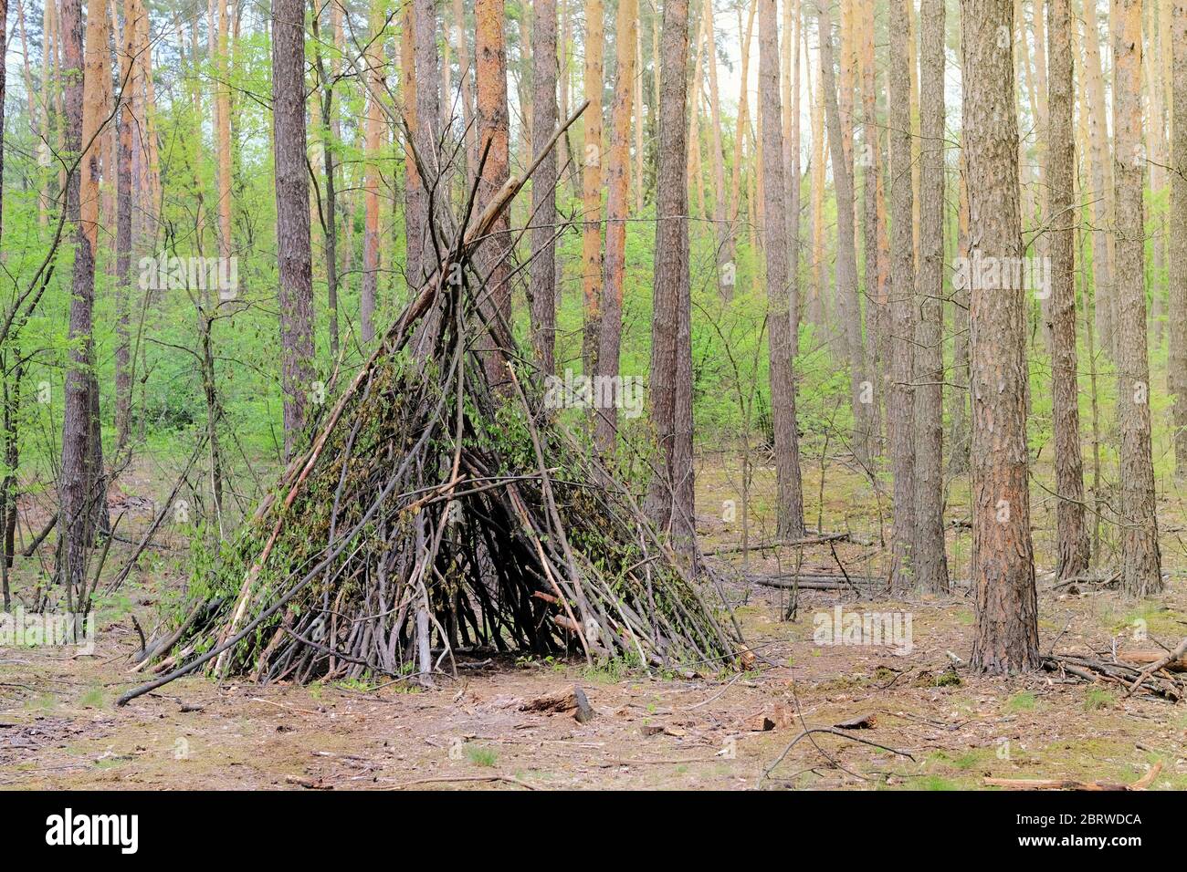 Primitive shelter from all natural materials. Forest hut in summer ...
