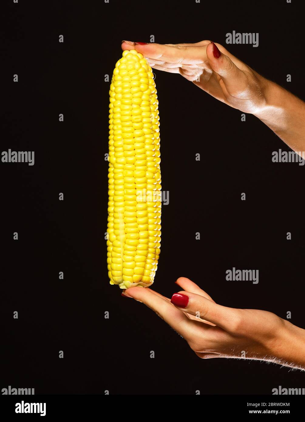 Corn cob in yellow color in girls fingers. Female hand holds corn ...
