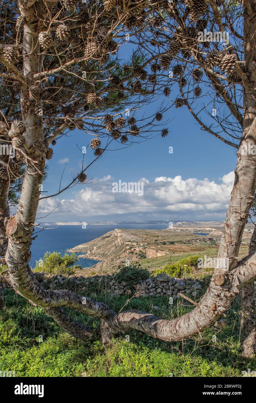 The distant view of Fomm ir-Rih cliffs as seen framed from the heights ...