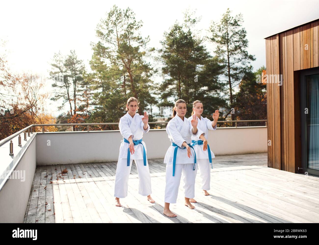 Group of young women practising karate outdoors on terrace Stock Photo ...