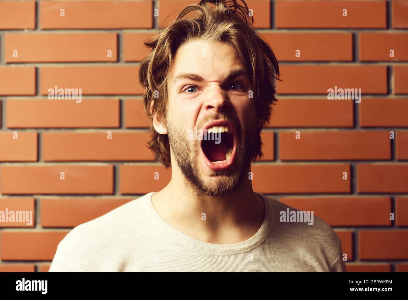 Brutal macho man with fair beard, messy hair and mad expression yells ...