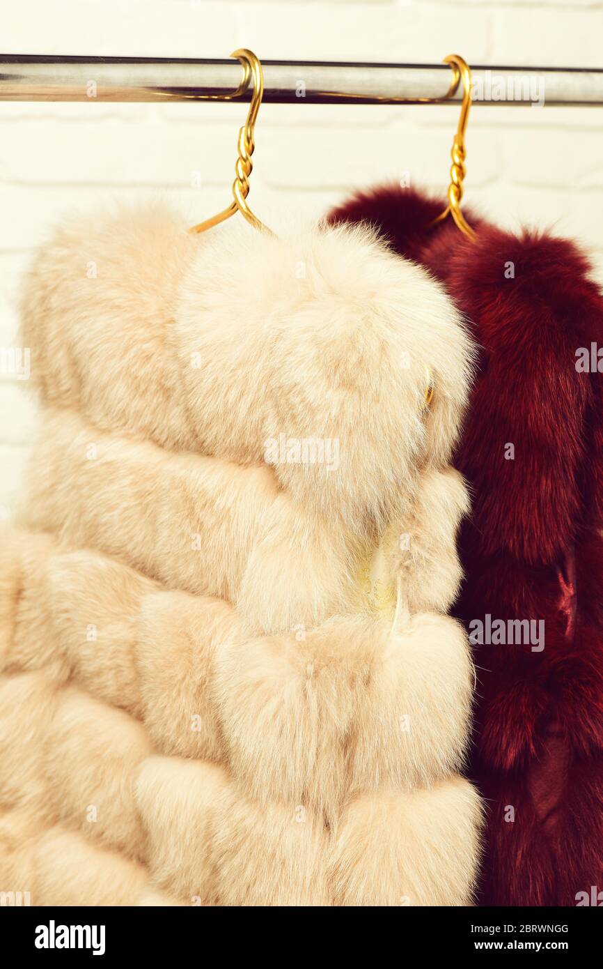 fashionable luxurious waist coats of fur hanging on rack on golden ...