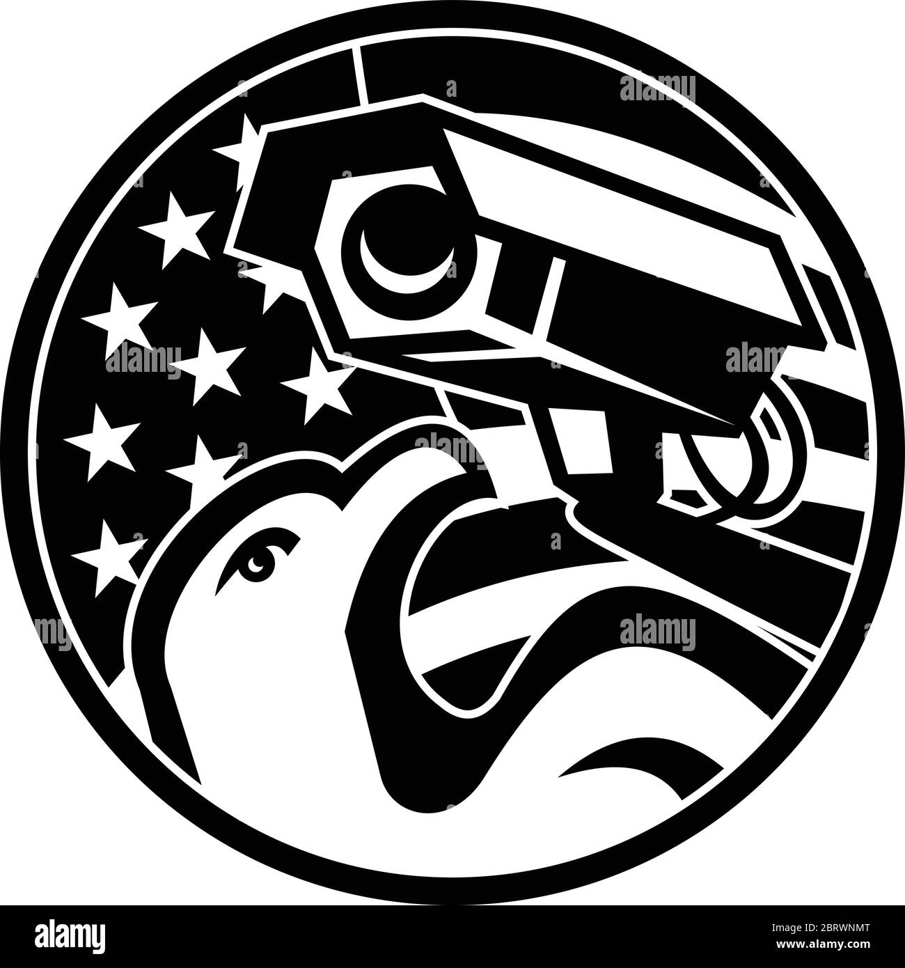 Eagle security cctv camera retro Stock Vector Images - Alamy