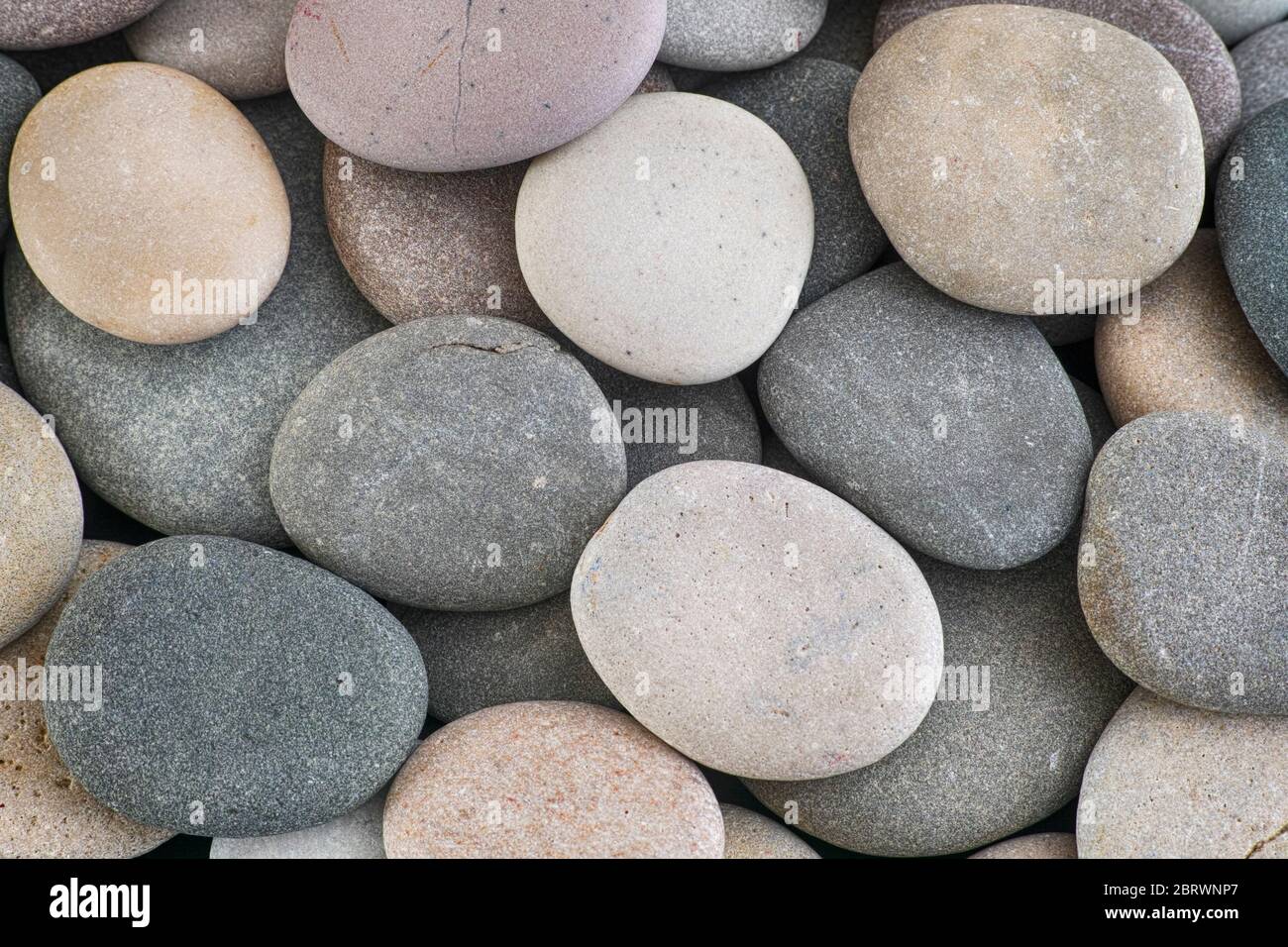 Terrarium Supplies Craft Supplies & Tools Maine Beach Stones Lot of 10 ...