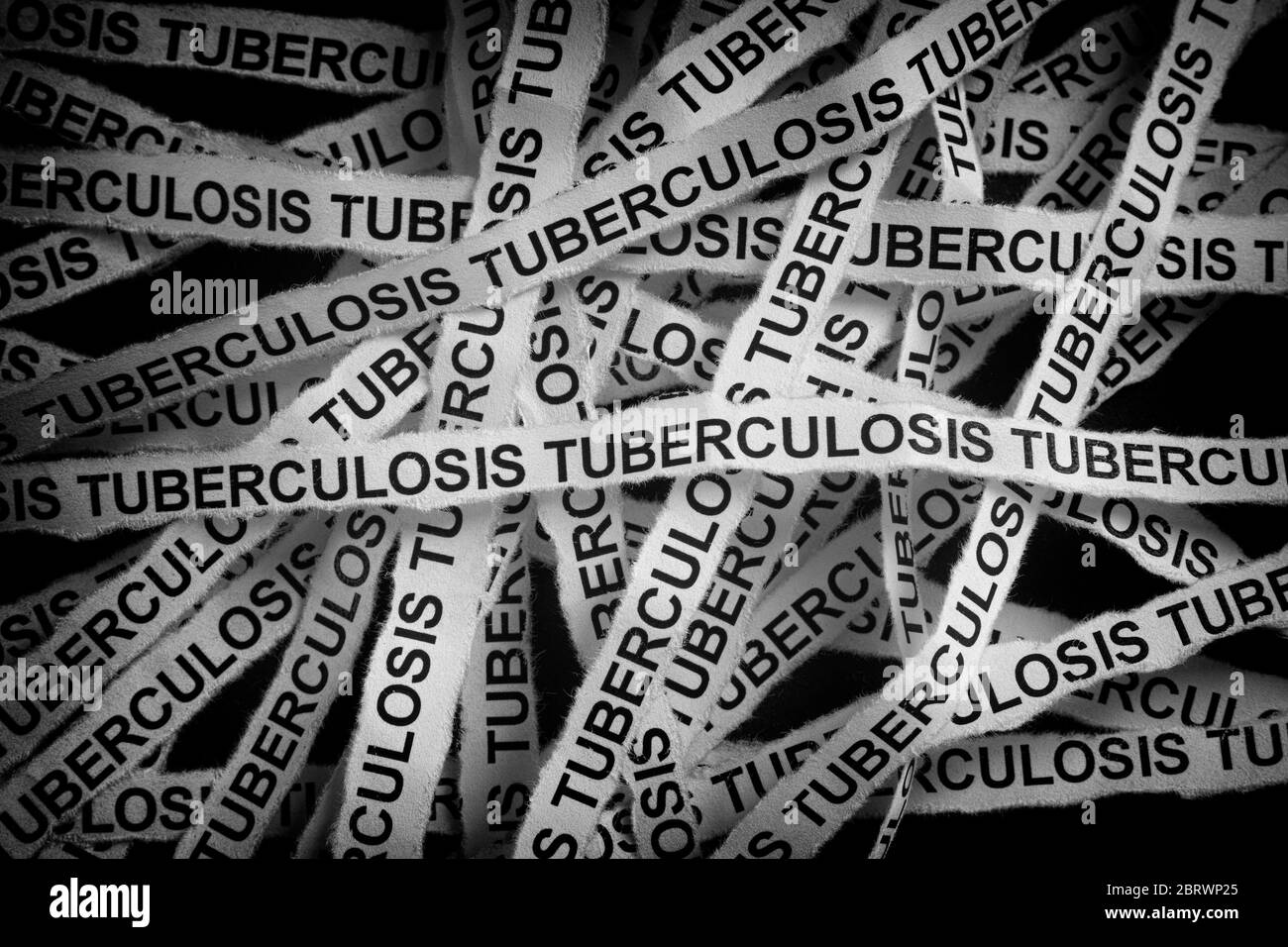 Mycobacterium tuberculosis bacteria hi-res stock photography and images ...