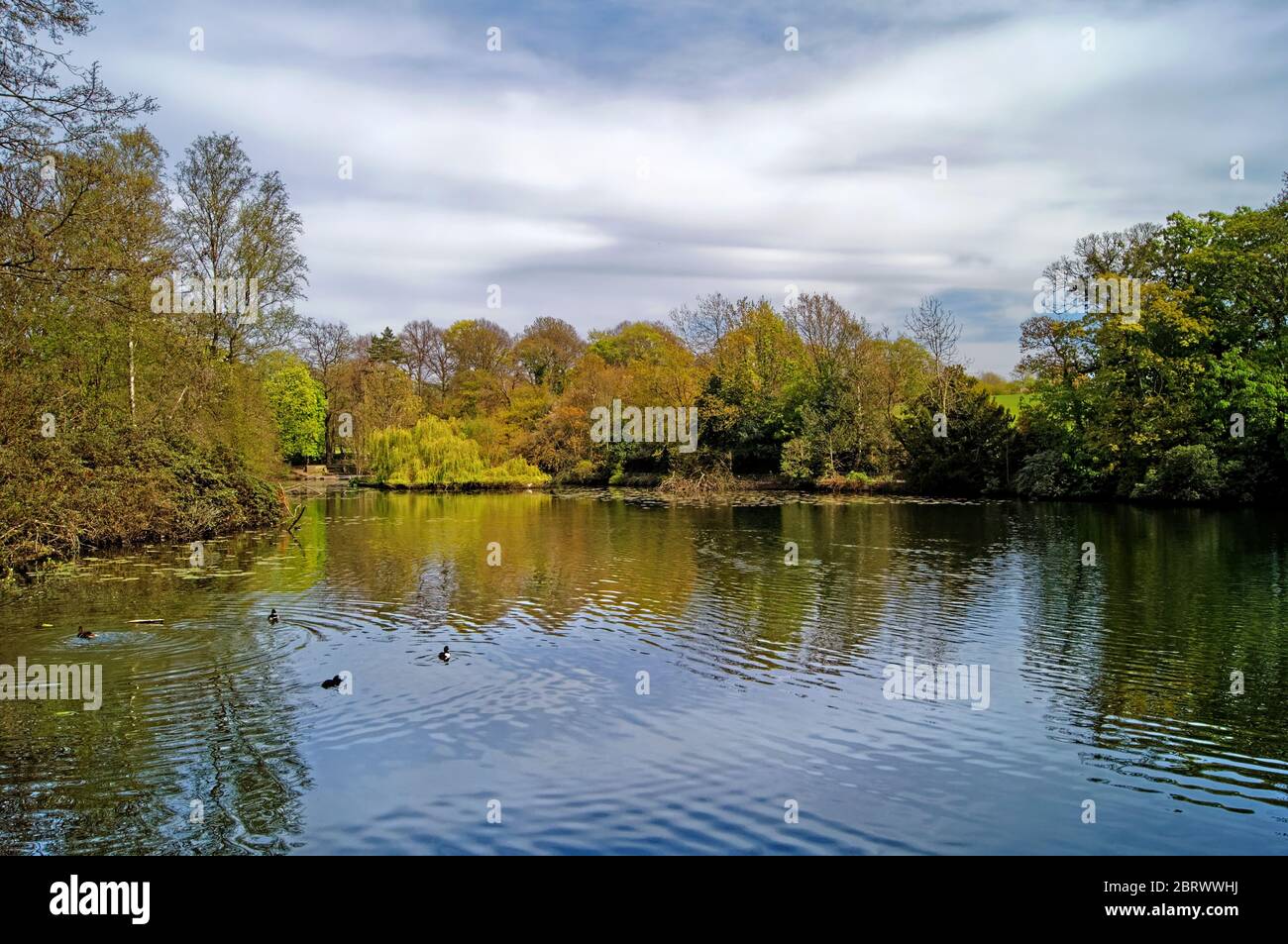 Graves park hi-res stock photography and images - Alamy
