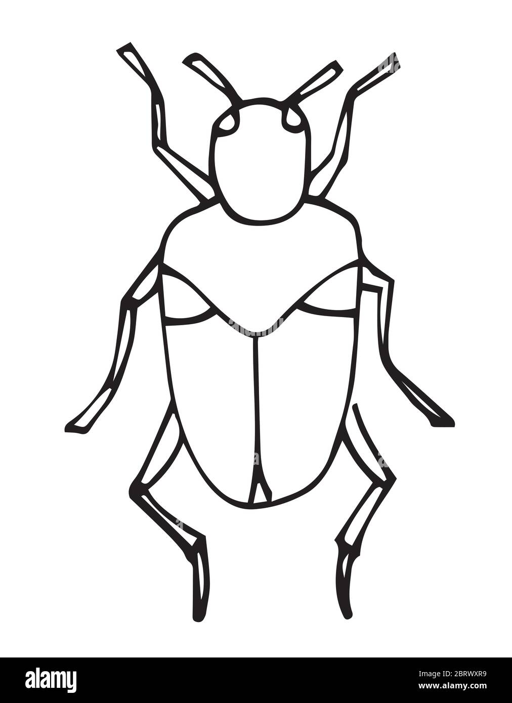 Beetle, insect outline vector, icon. Coloring book page. hand drawn ...