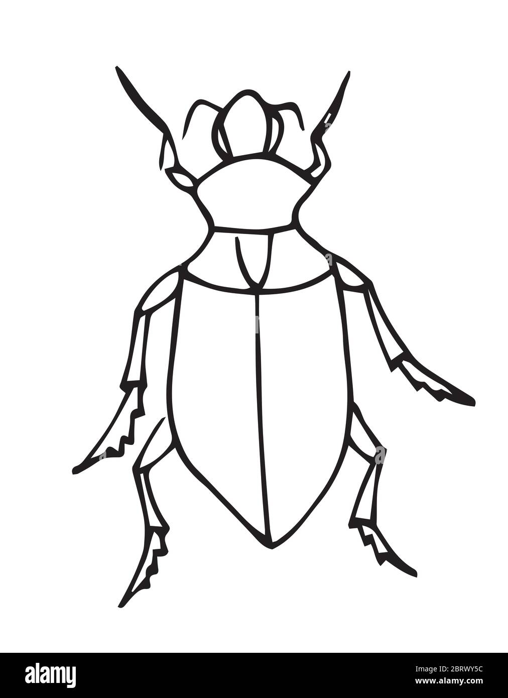 Bug outline vector. Coloring page for kids. Exotic bug collection.hand ...