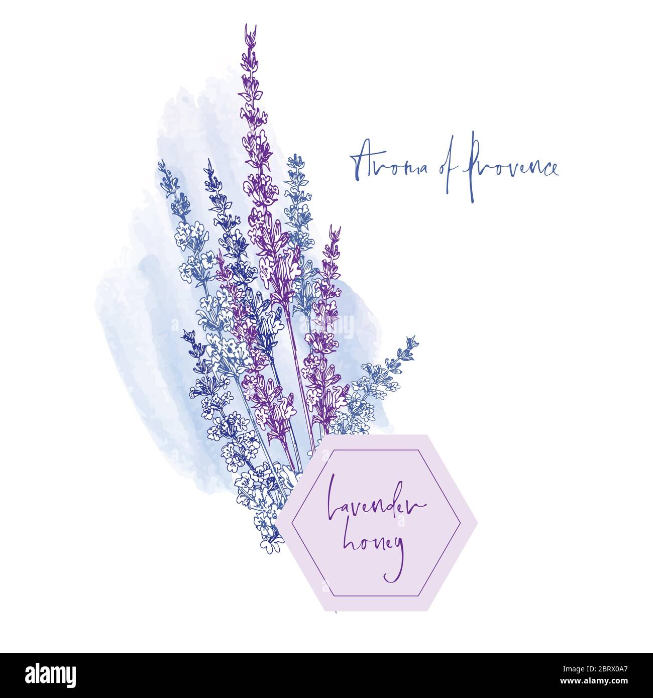 Cute card with of hand drawn sketch of Lavender flower and small bow ...