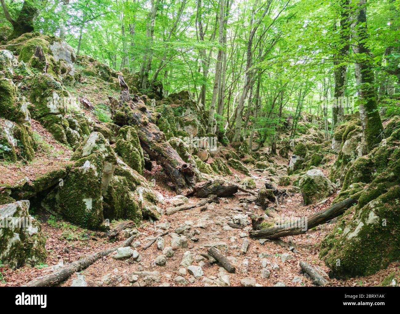 Palombara park hi-res stock photography and images - Alamy