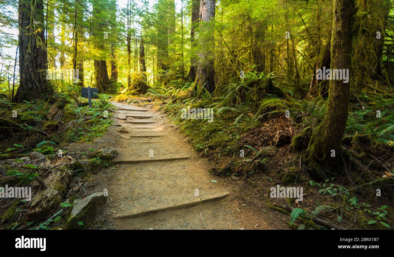 Walk way path view hi-res stock photography and images - Alamy