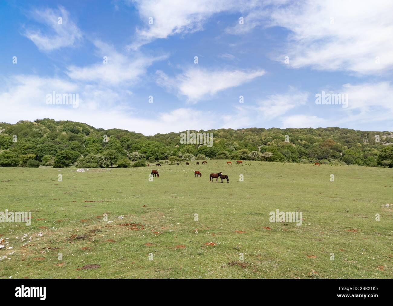 Palombara park hi-res stock photography and images - Alamy