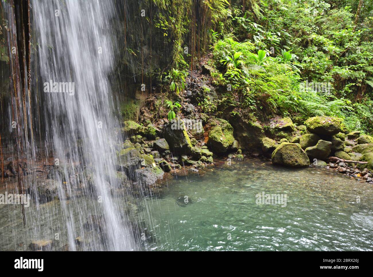 Emerald pool and waterfall in Dominica tropical rainforest Stock Photo ...