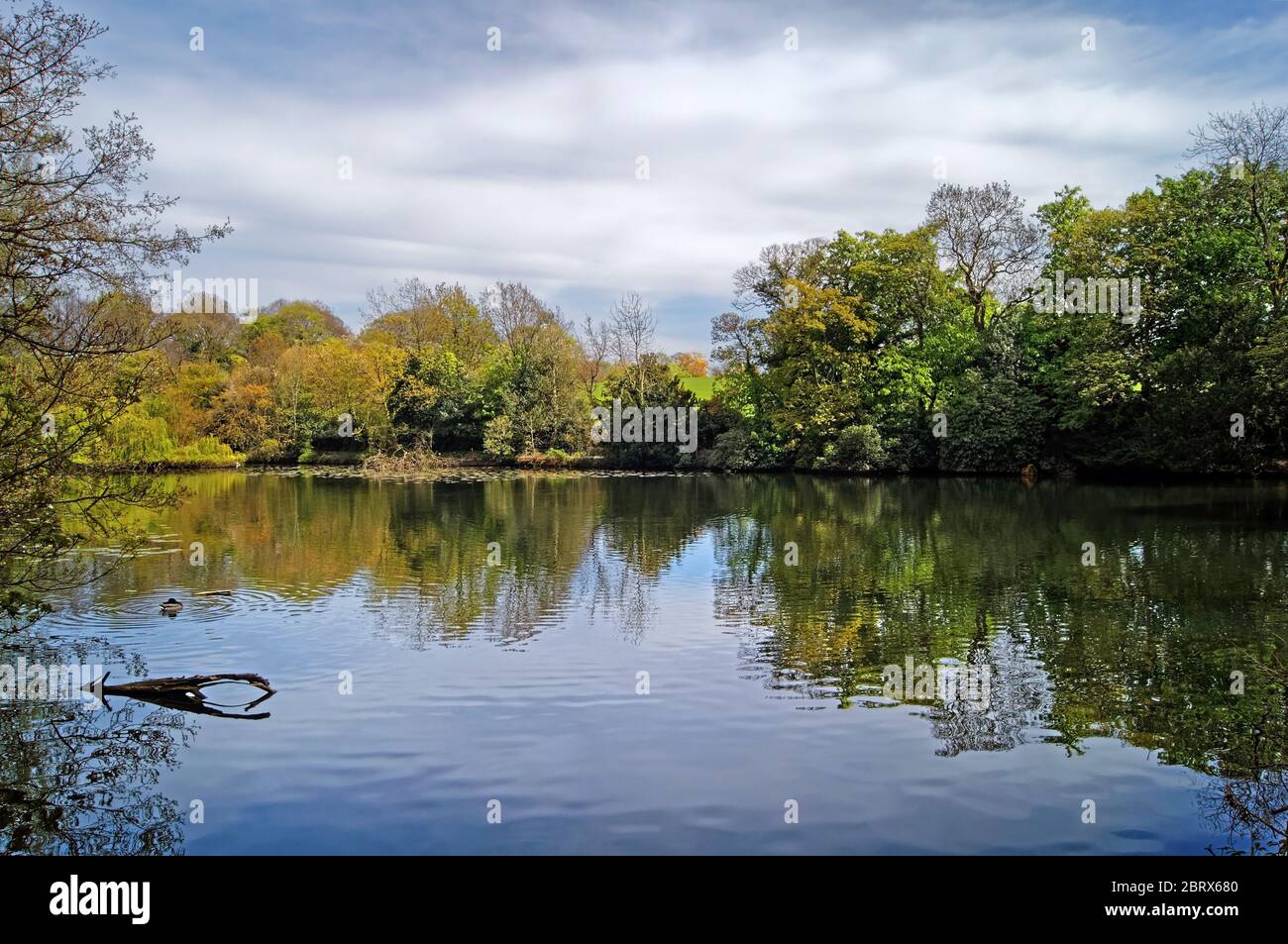 Graves park hi-res stock photography and images - Alamy
