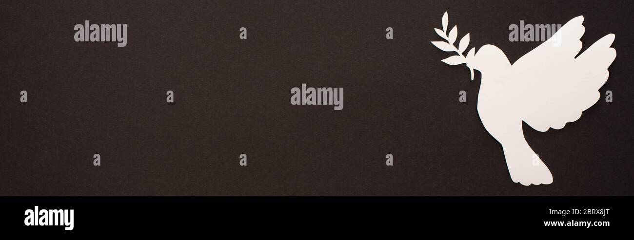 top view of white paper cut dove on black background, panoramic shot ...