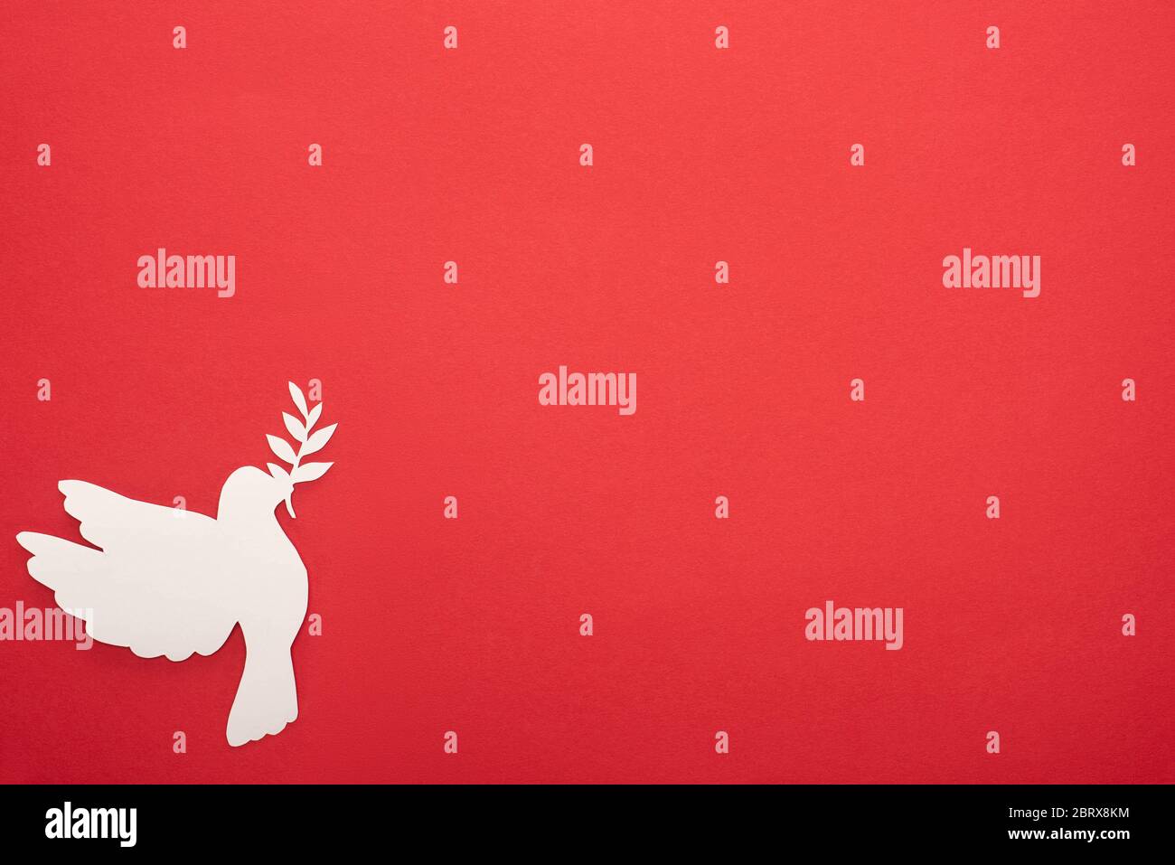 top view of white dove as symbol of peace on red background Stock Photo ...