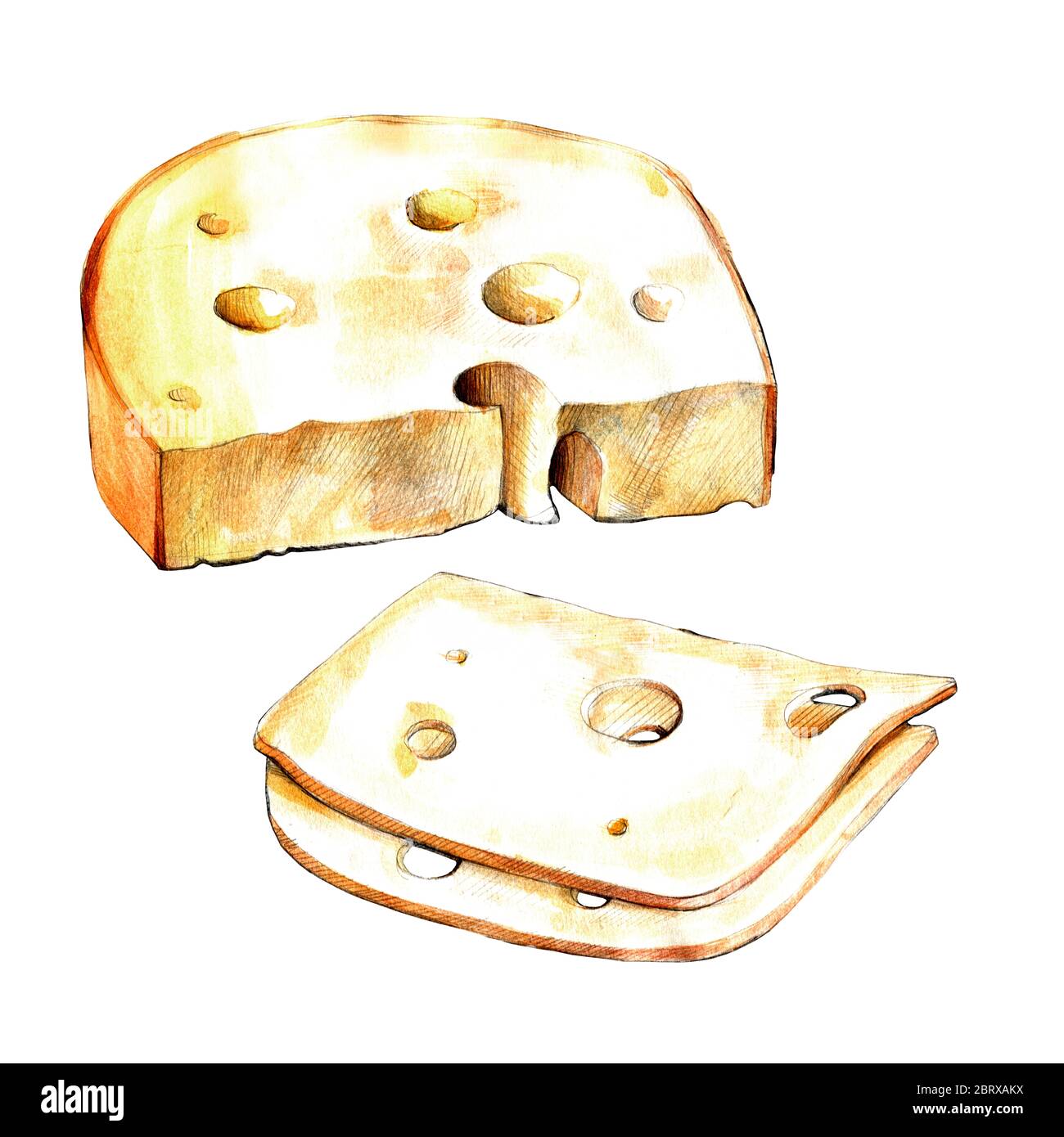 Cheese watercolor illustration on white background Stock Photo - Alamy
