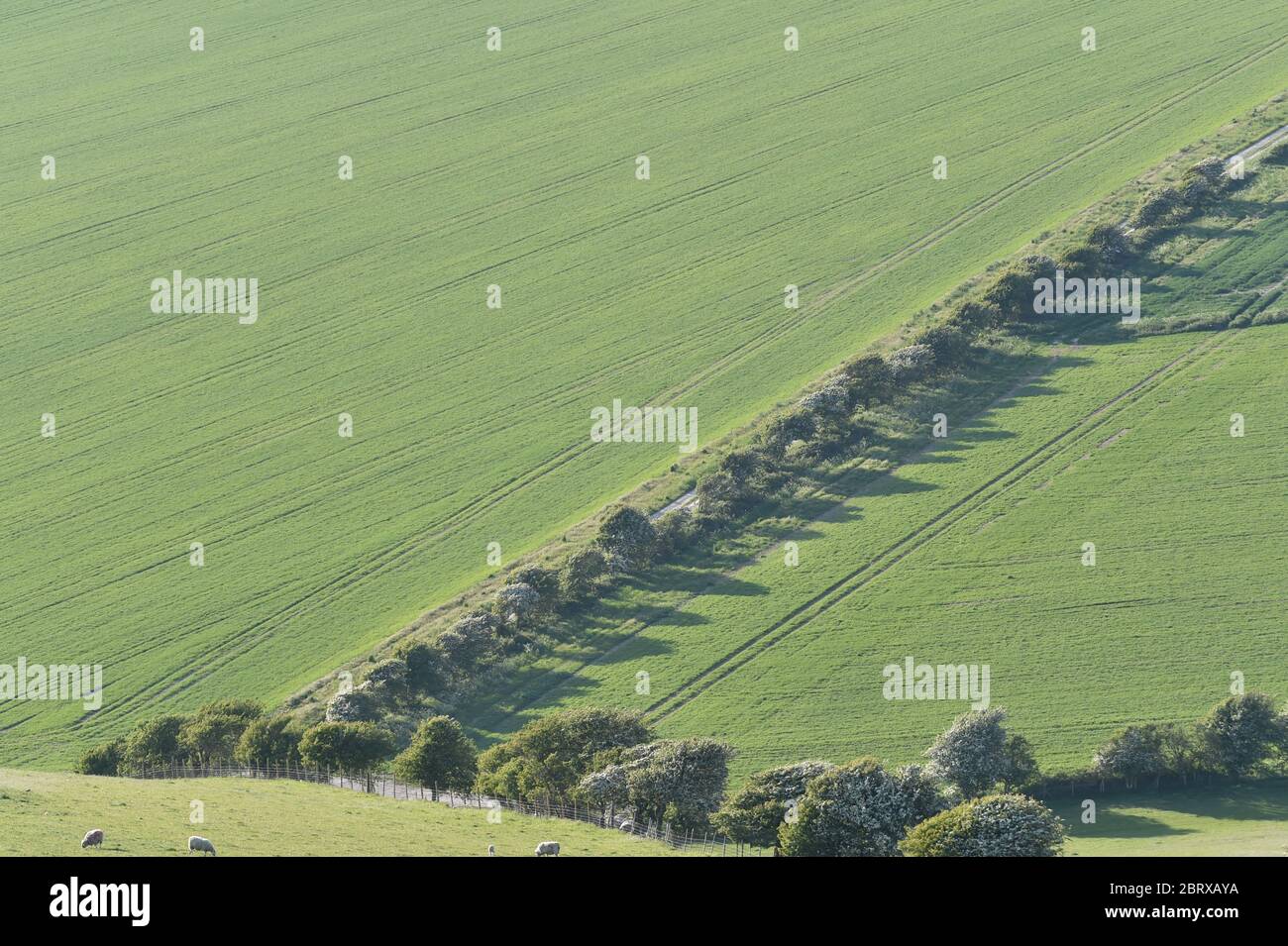 Aerial views of rolling farmland Stock Photo - Alamy