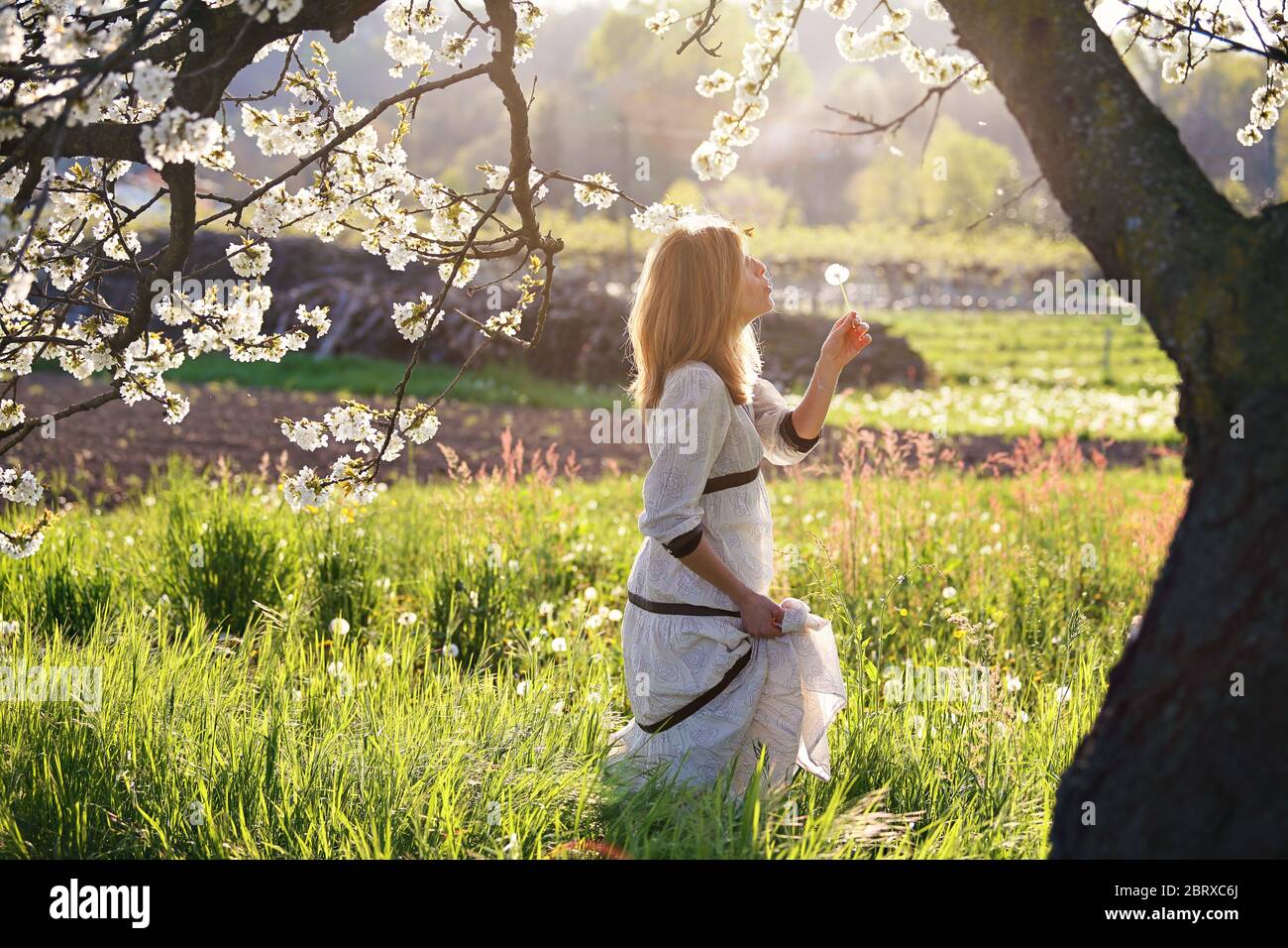 Woman dandelion spring meadow hi-res stock photography and images - Alamy