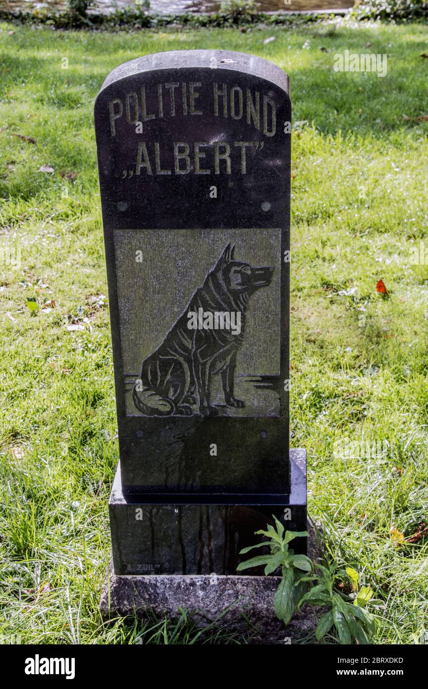 Tombstone Of Police Dog Albert At The Oosterpark Park At Amsterdam The ...
