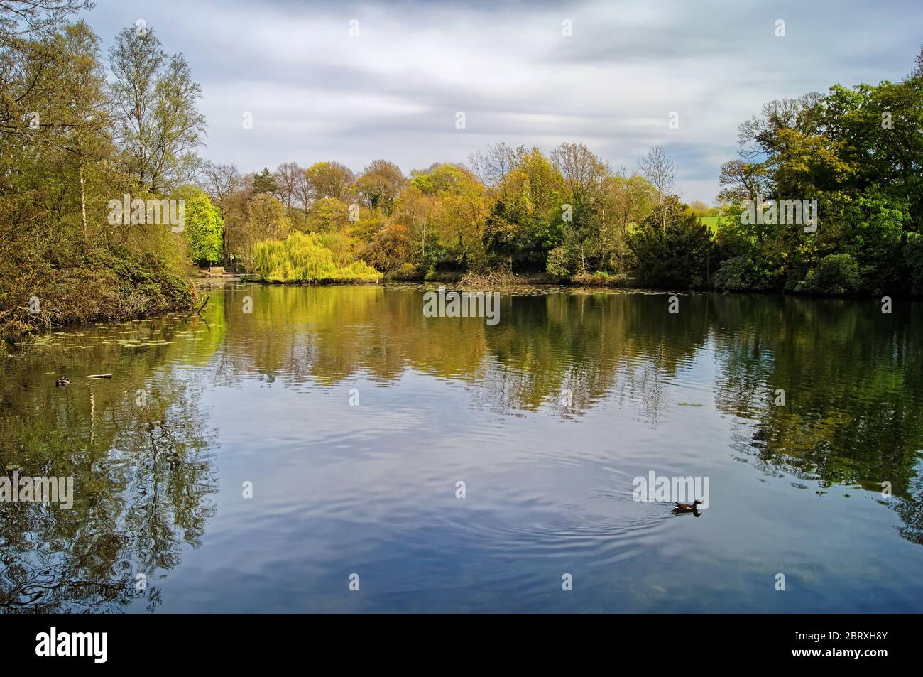 Graves park hi-res stock photography and images - Alamy