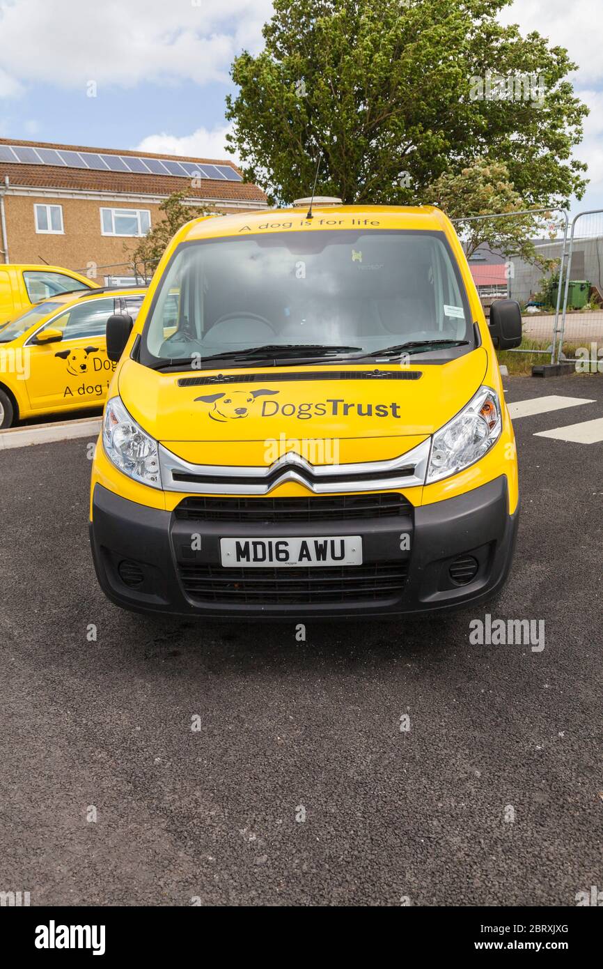 The yellow coloured vehicles belonging to the Dogs Trust,Sadberge ...