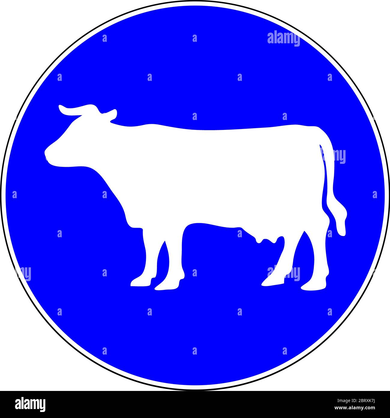 Cattle on road blue road sign Stock Photo - Alamy
