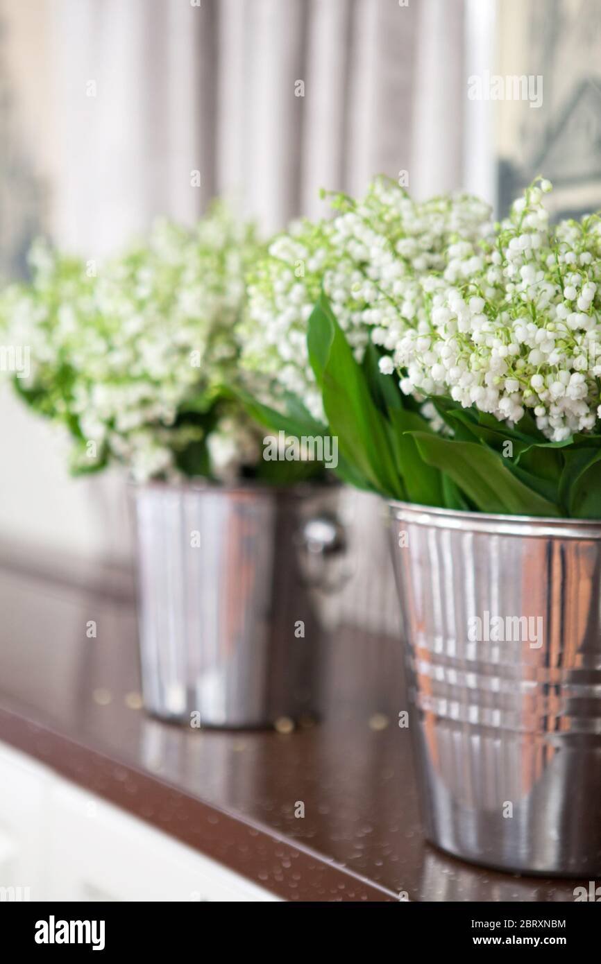 Lily of the valley in a bucket Stock Photo - Alamy